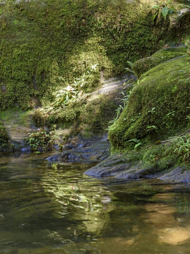O que fazer em Penedo RJ: 12 atrações imperdíveis + dicas