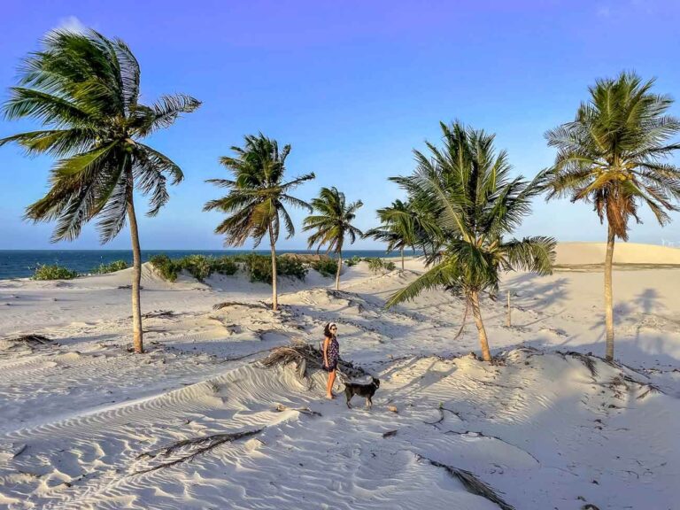 Praia do Preá: TOP atrações + dicas da vizinha de Jericoacoara